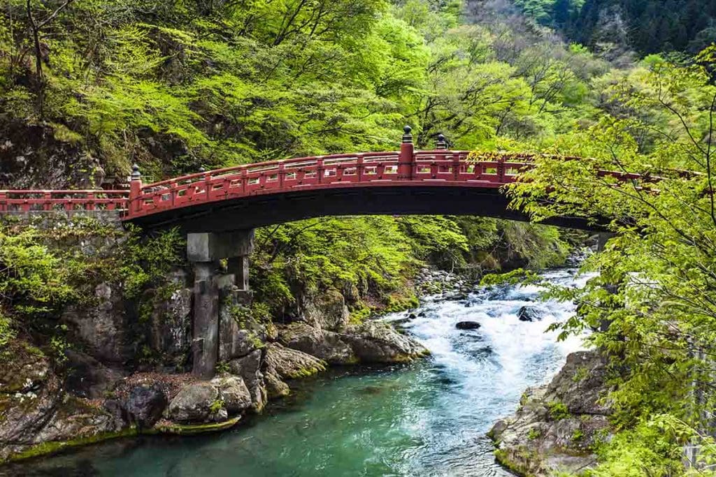 Forest in Japan - Lumle holidays | Lumle Holidays